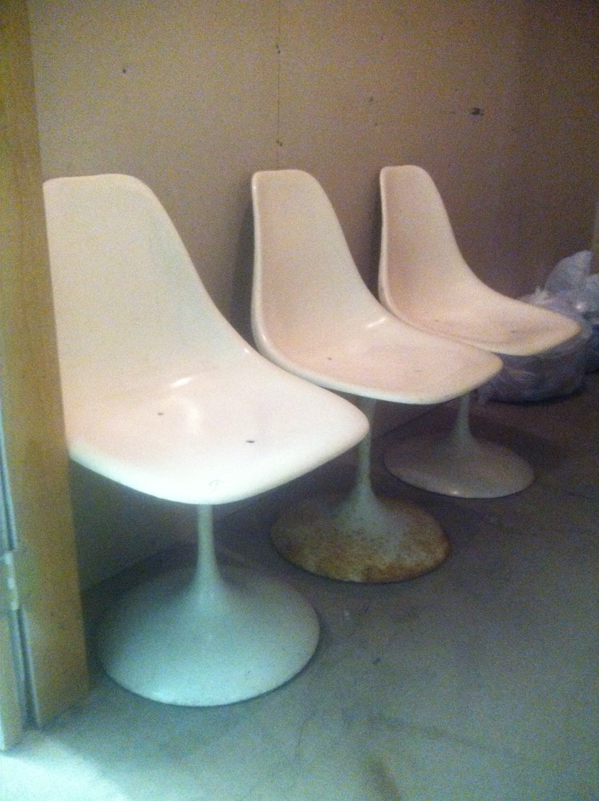 Tiptoe through the Tulips… – Atomic Magpie